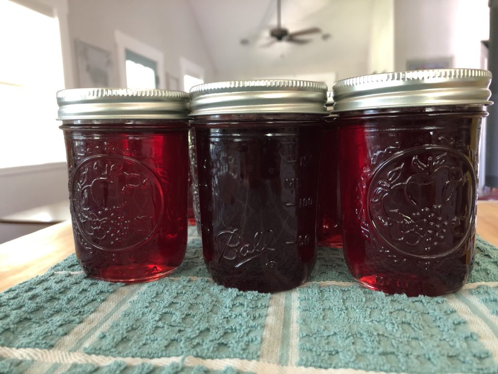 Easy Plum Jelly & Jam! (Only three ingredients!) – Worry Free Mom