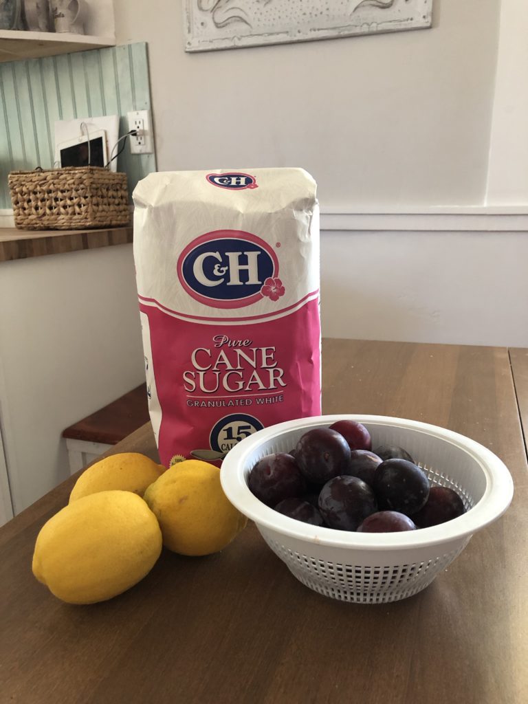 Easy Plum Jelly & Jam! (Only three ingredients!) – Worry Free Mom